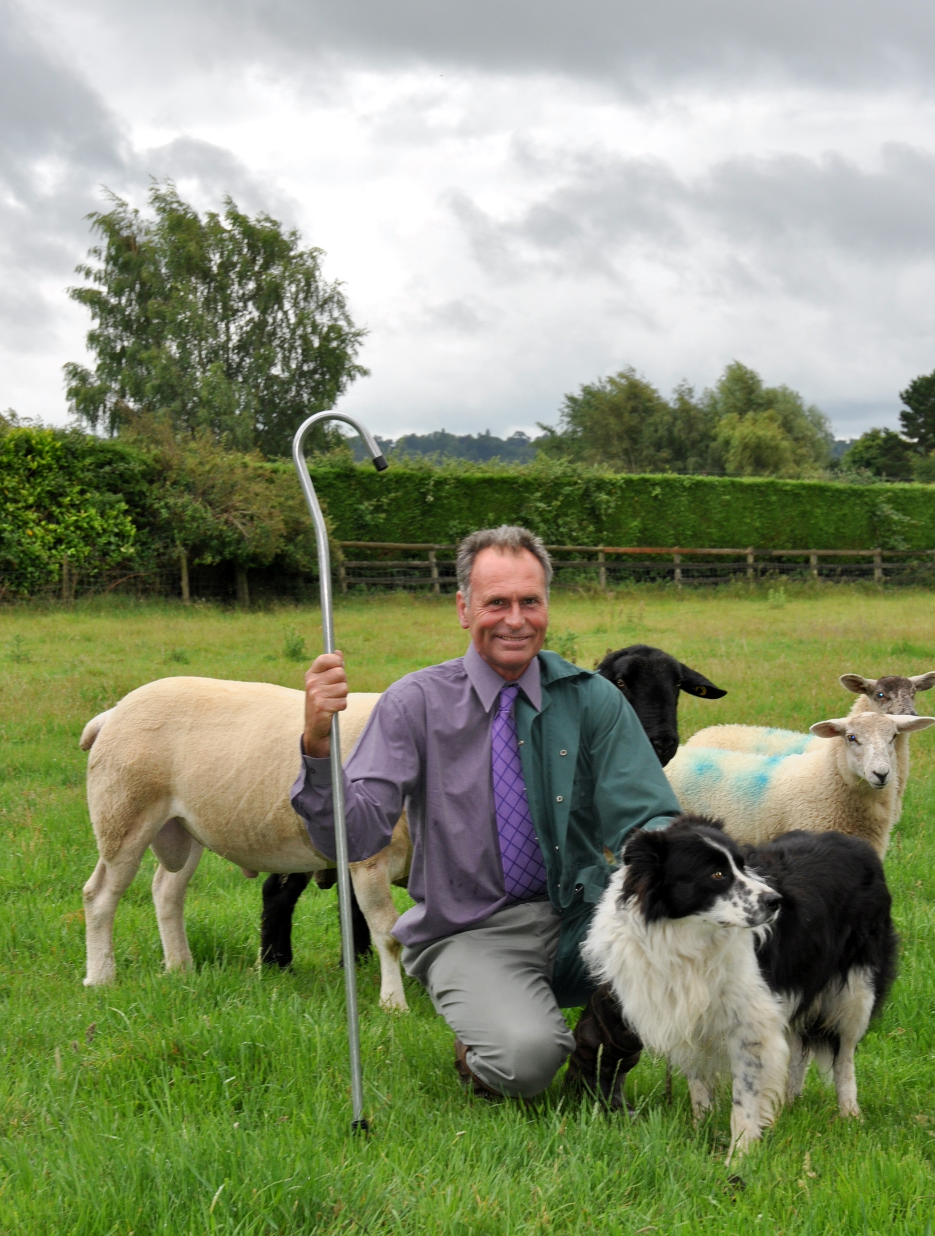 Sheep, Shepherd or Dog?: team building book launch - Learning News